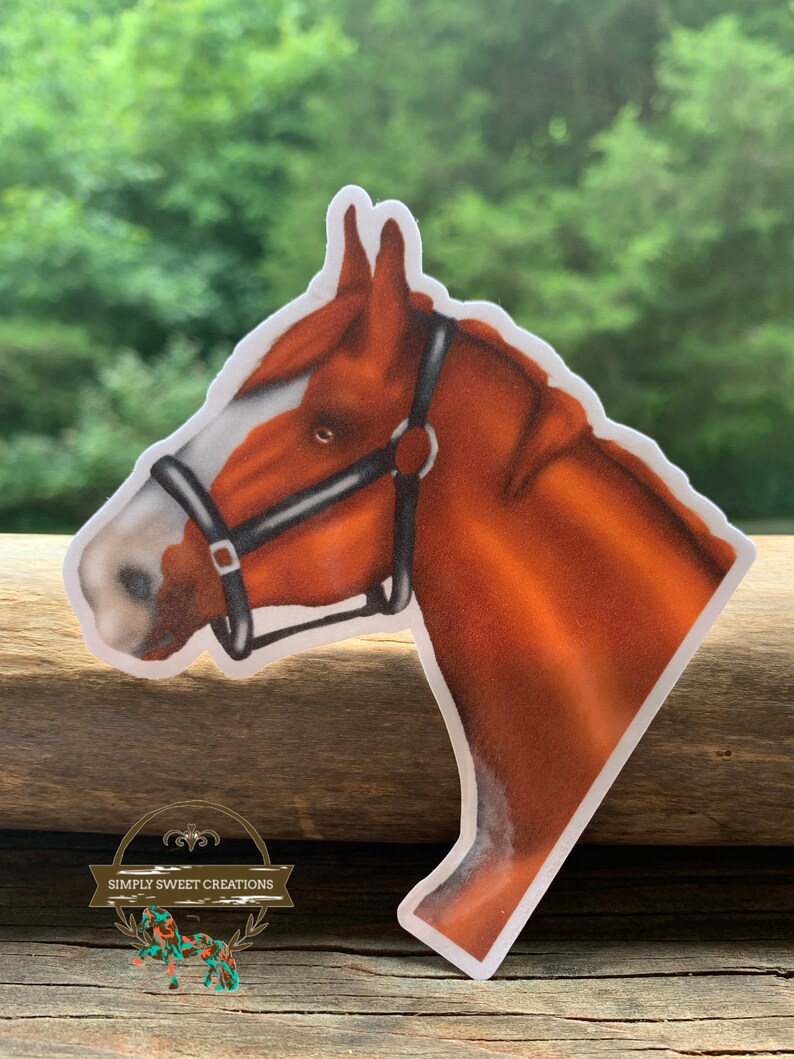 Beautiful Horse Horse Sticker Chestnut Horse Laptop - Etsy