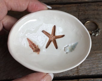 Sea shell decor | Etsy