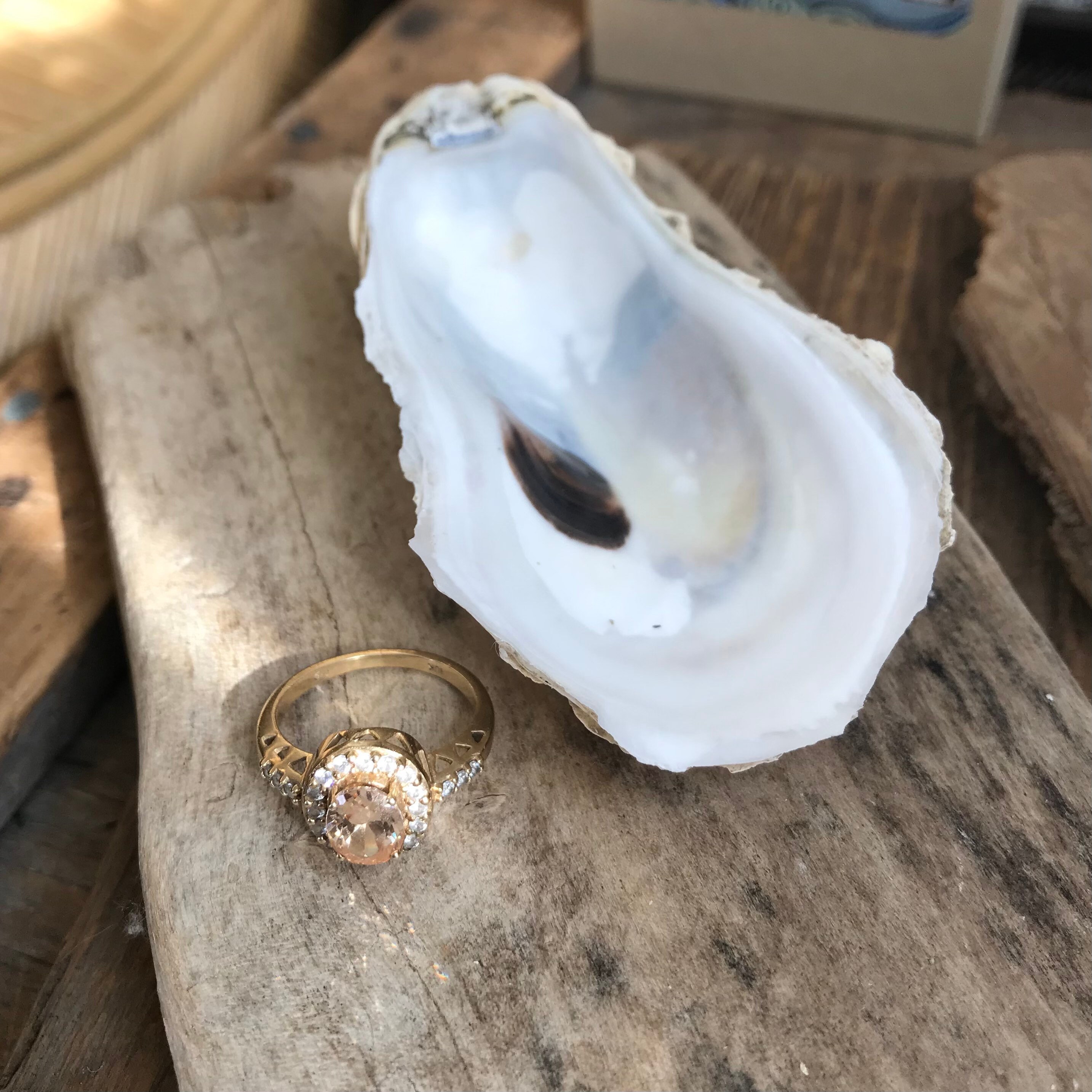 White Oyster Shell Oyster ring bowl DIY Decoupage Oyster | Etsy