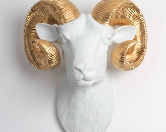 Sheep Head Mount - Etsy