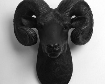 Sheep Head Wall Decor | Etsy