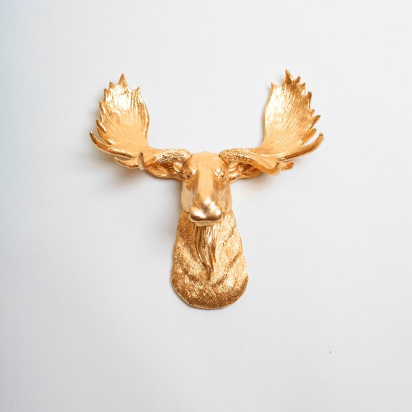Gold Moose - Etsy