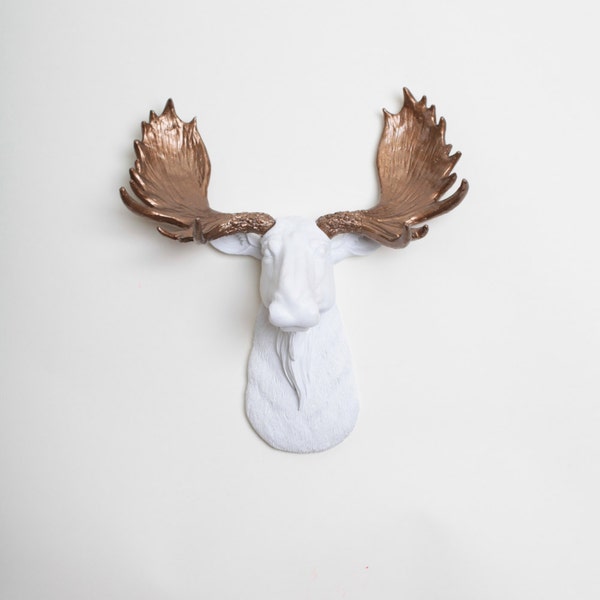 Resin Moose Head - Etsy