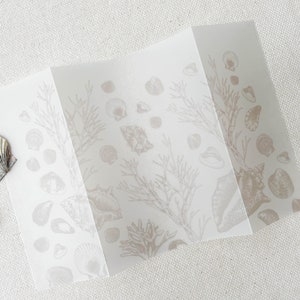Beach Wedding Invitation Vellum Jacket | Seashell Vellum Wrap for 5x7 ...
