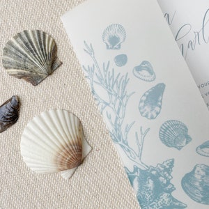 Beach Wedding Invitation Vellum Jacket | Seashell Vellum Wrap for 5x7 ...