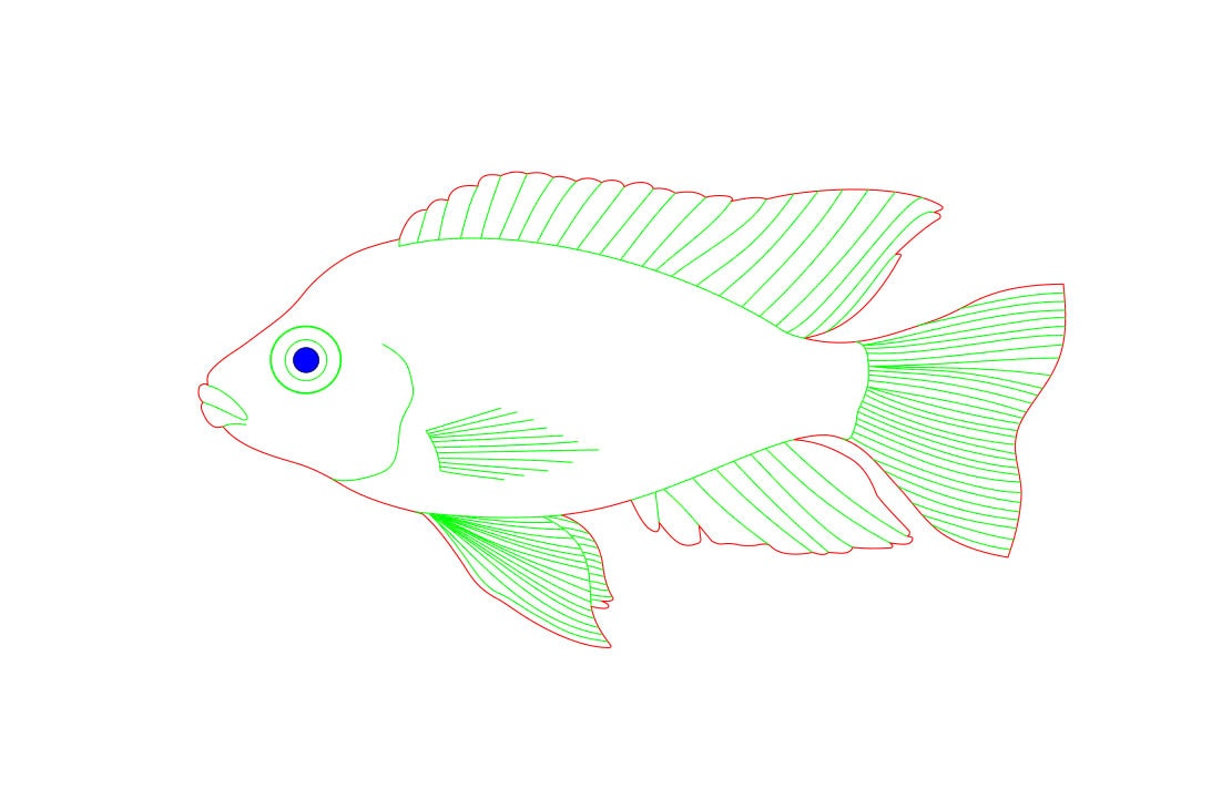 Cichlid Fish SVG - Etsy