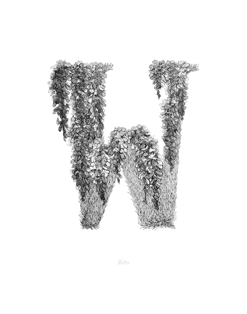 Hand Drawn Botanical Letter - W - Etsy