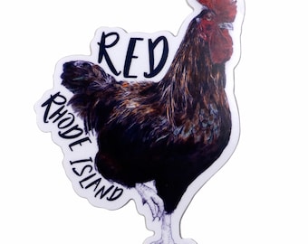 Rhode Island Red Chicken Sticker, Farm Animal Decal, Hen Lover Gift ...