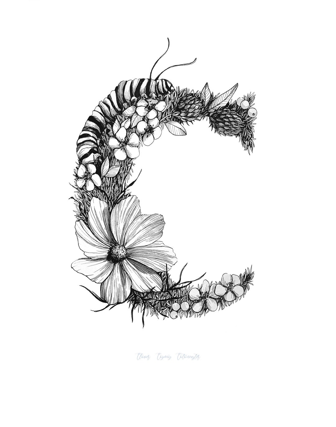 Hand Drawn Botanical Letter - C - Etsy