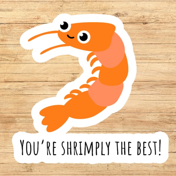 Shrimp Friend - Etsy