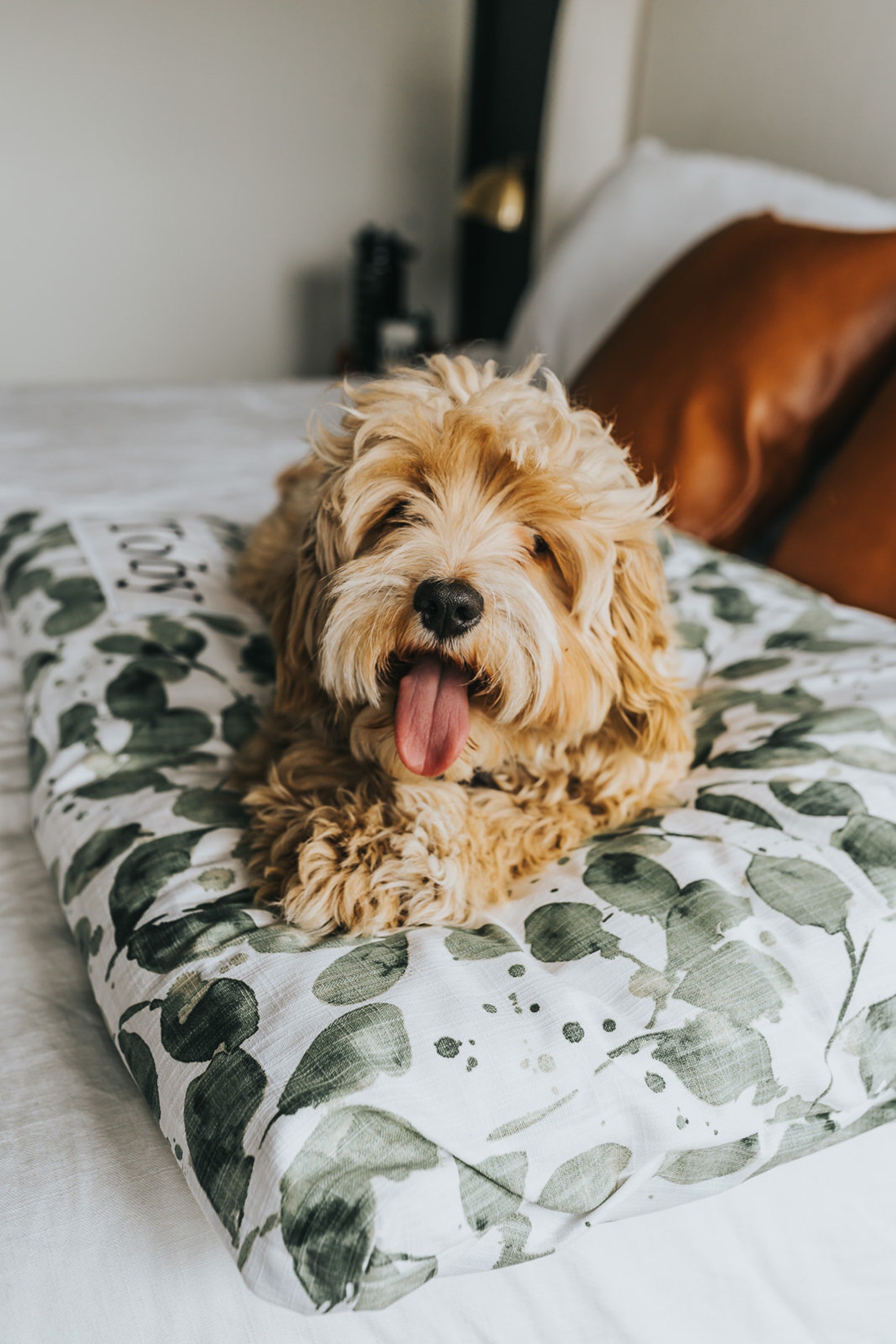 Dog Bed Dog Bed Cover Plant Dog Bed Pet Pillow - Etsy