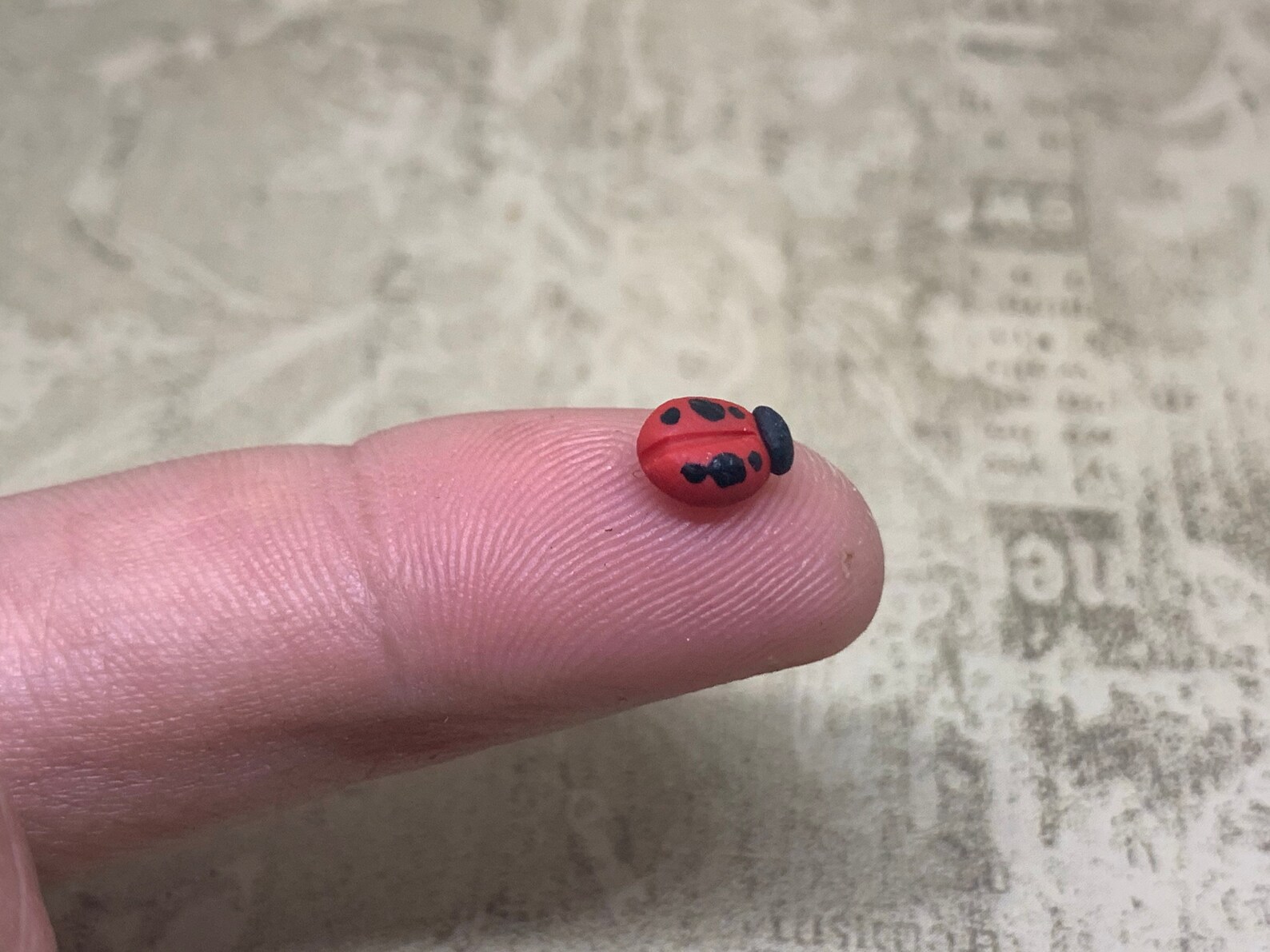 Micro Mini Ladybug Fairy Garden Ladybug Tiny Ladybug - Etsy