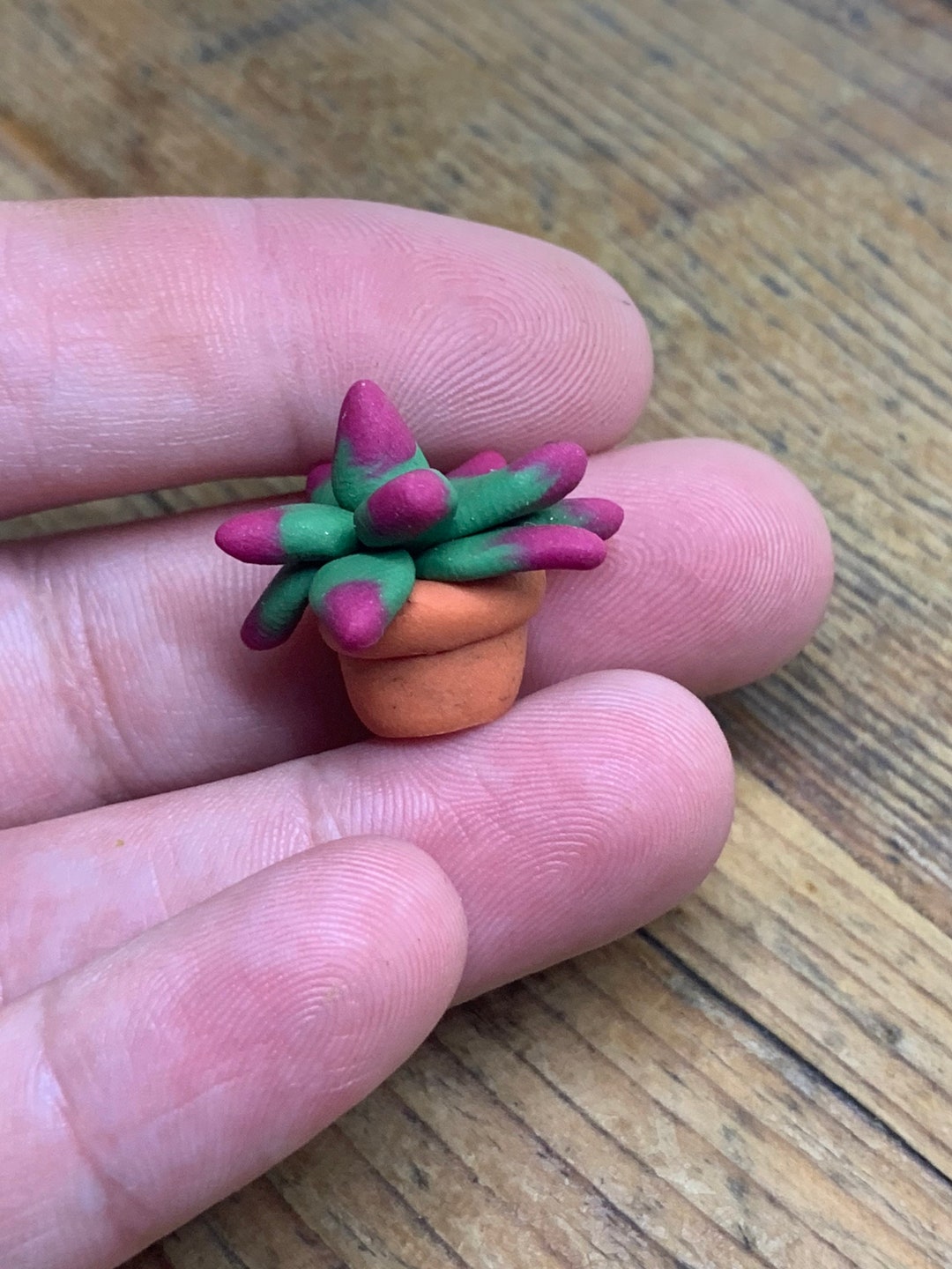 Miniature Succulent, Dollhouse Miniature Cactus, Succulent Miniature ...