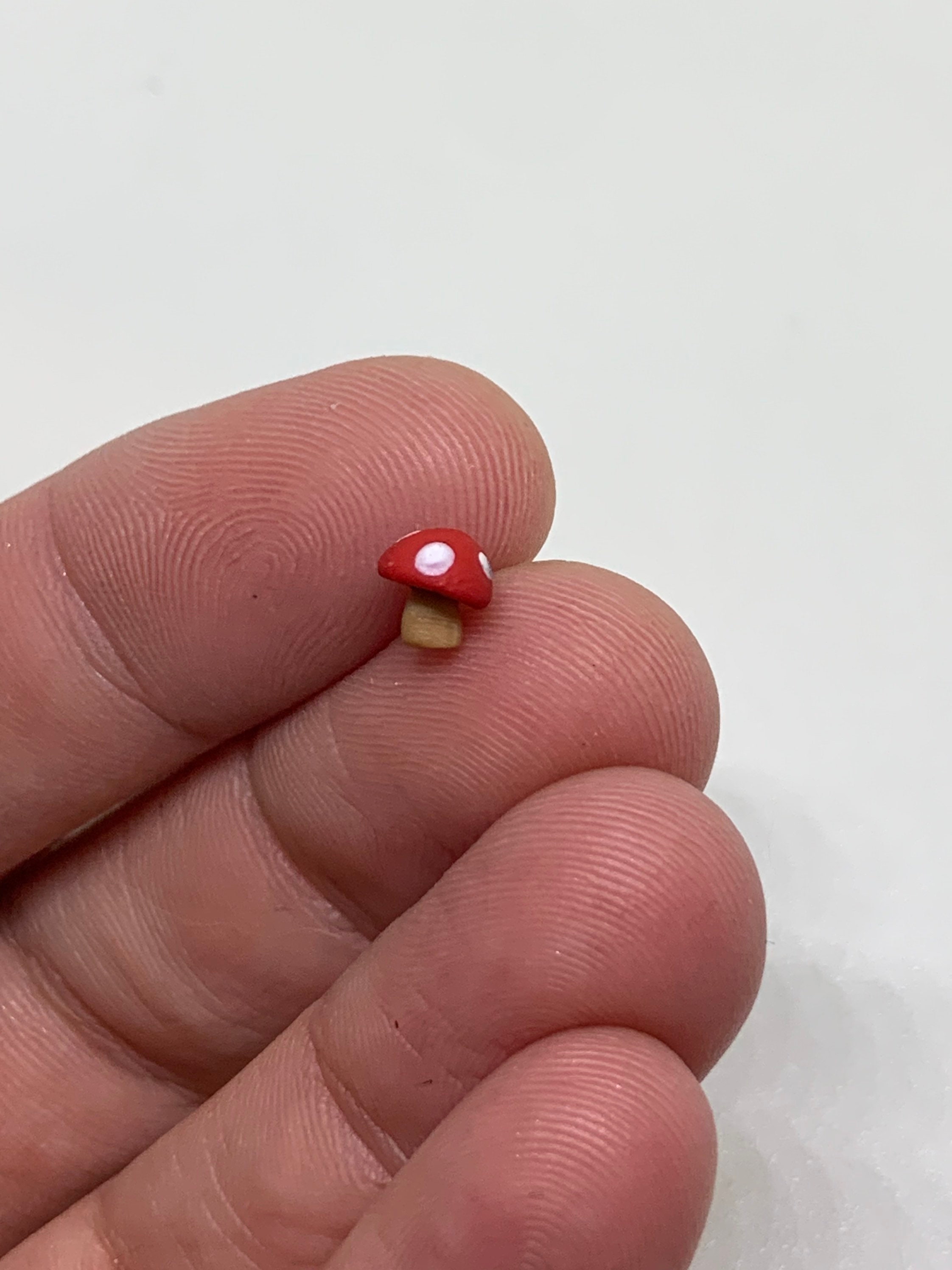 Miniature Flat Mushroom Micro Mushroom Tiny Mushroom Decor - Etsy