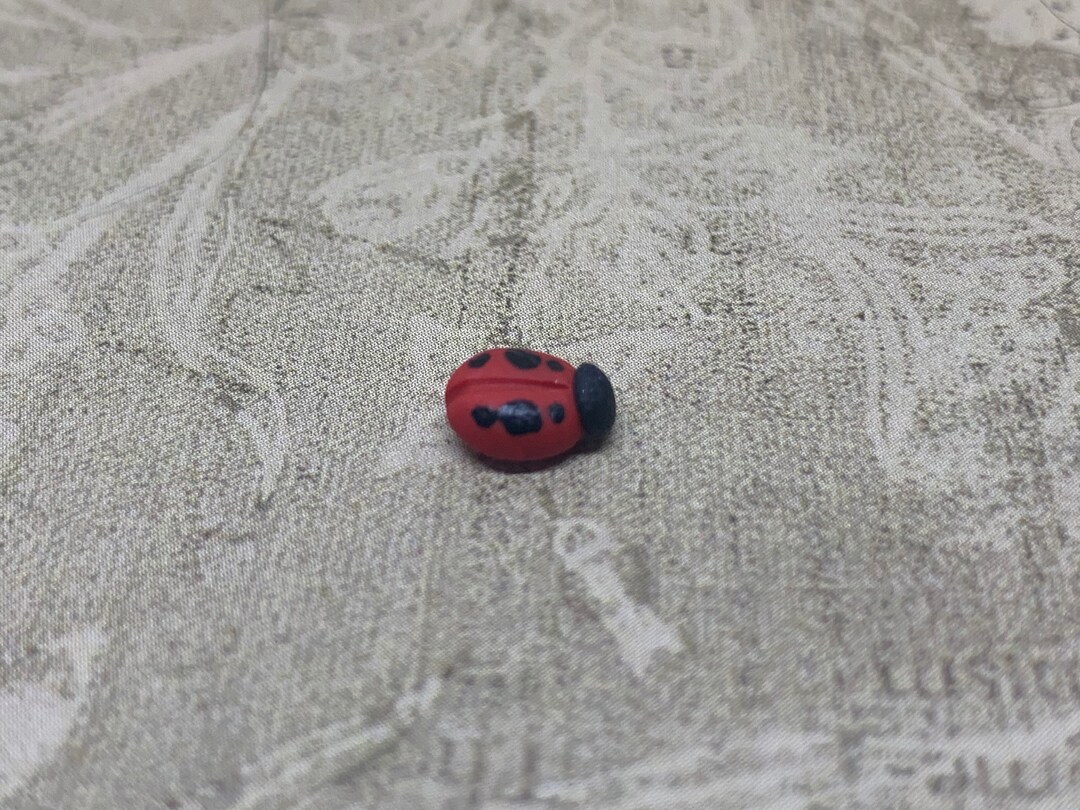 Micro Mini Ladybug, Fairy Garden Ladybug, Tiny Ladybug - Etsy
