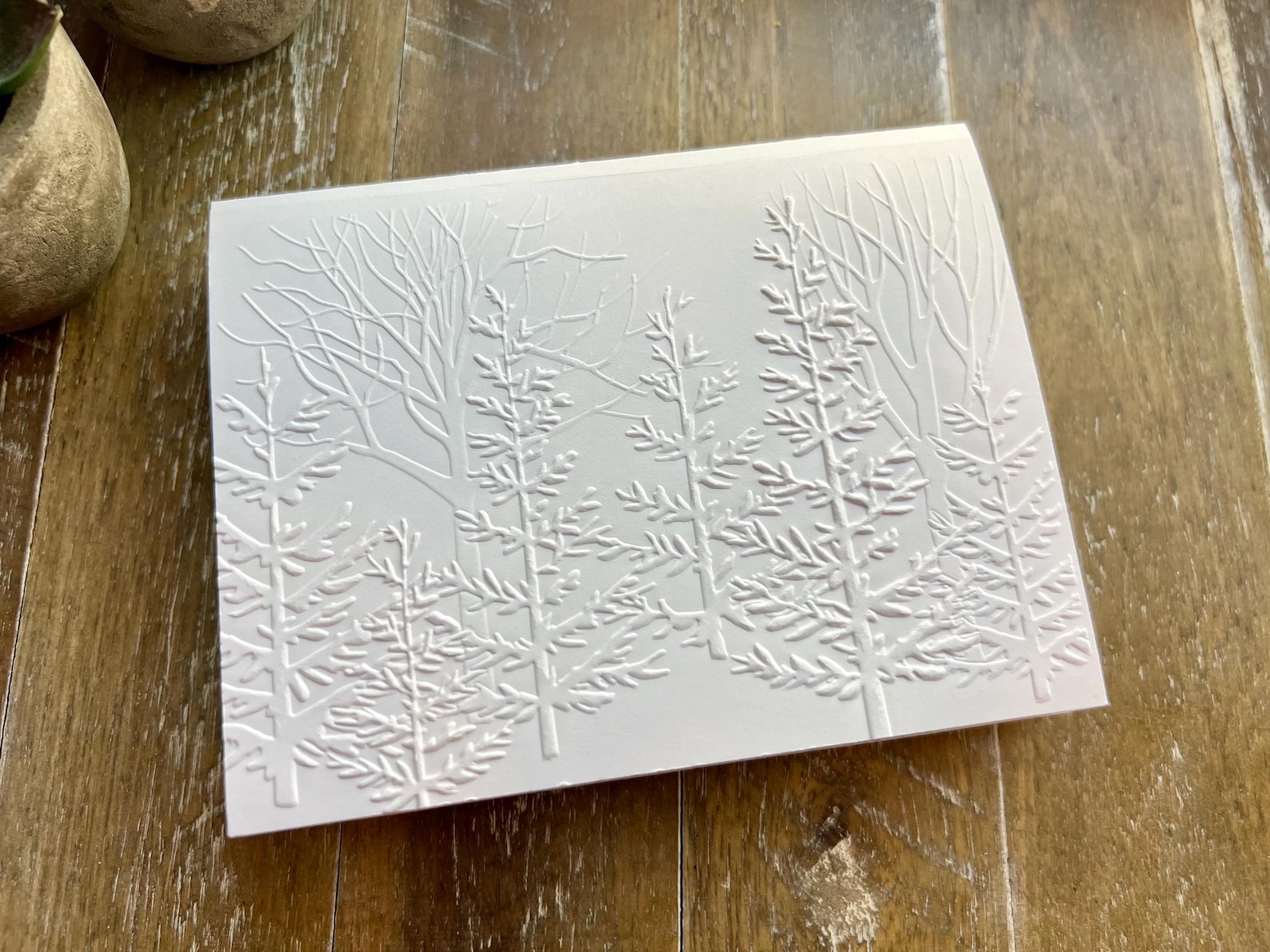 Embossed Tree Cards: Blank Inside, Boxed Greeting Cards, Forest Trees ...