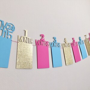 First Year Photo Banner, First Birthday Party Decorations, First ...