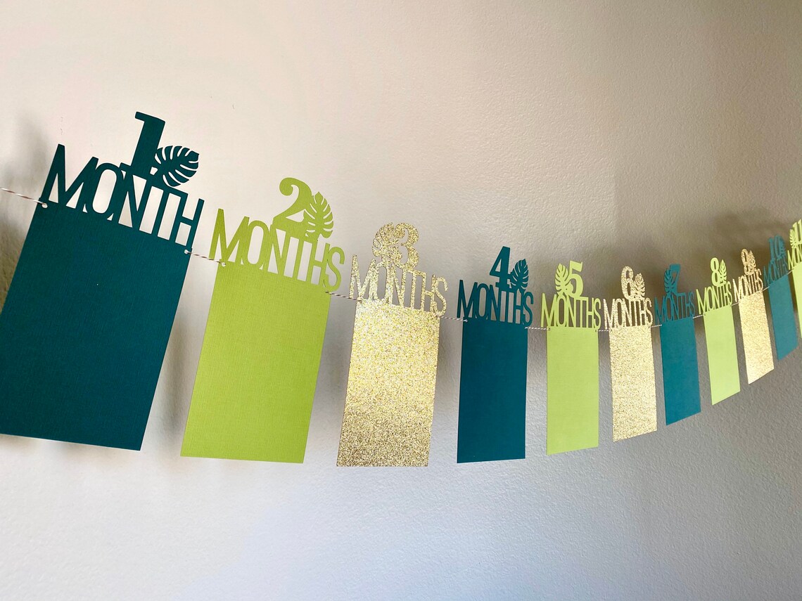 First Birthday Photo Banner First Birthday Banner 1st Year | Etsy