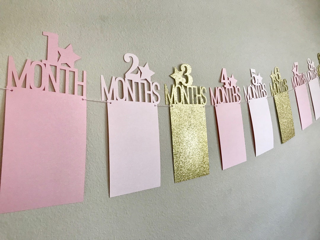 First Birthday Photo Banner, Twinkle Little Star First Birthday, 1st ...