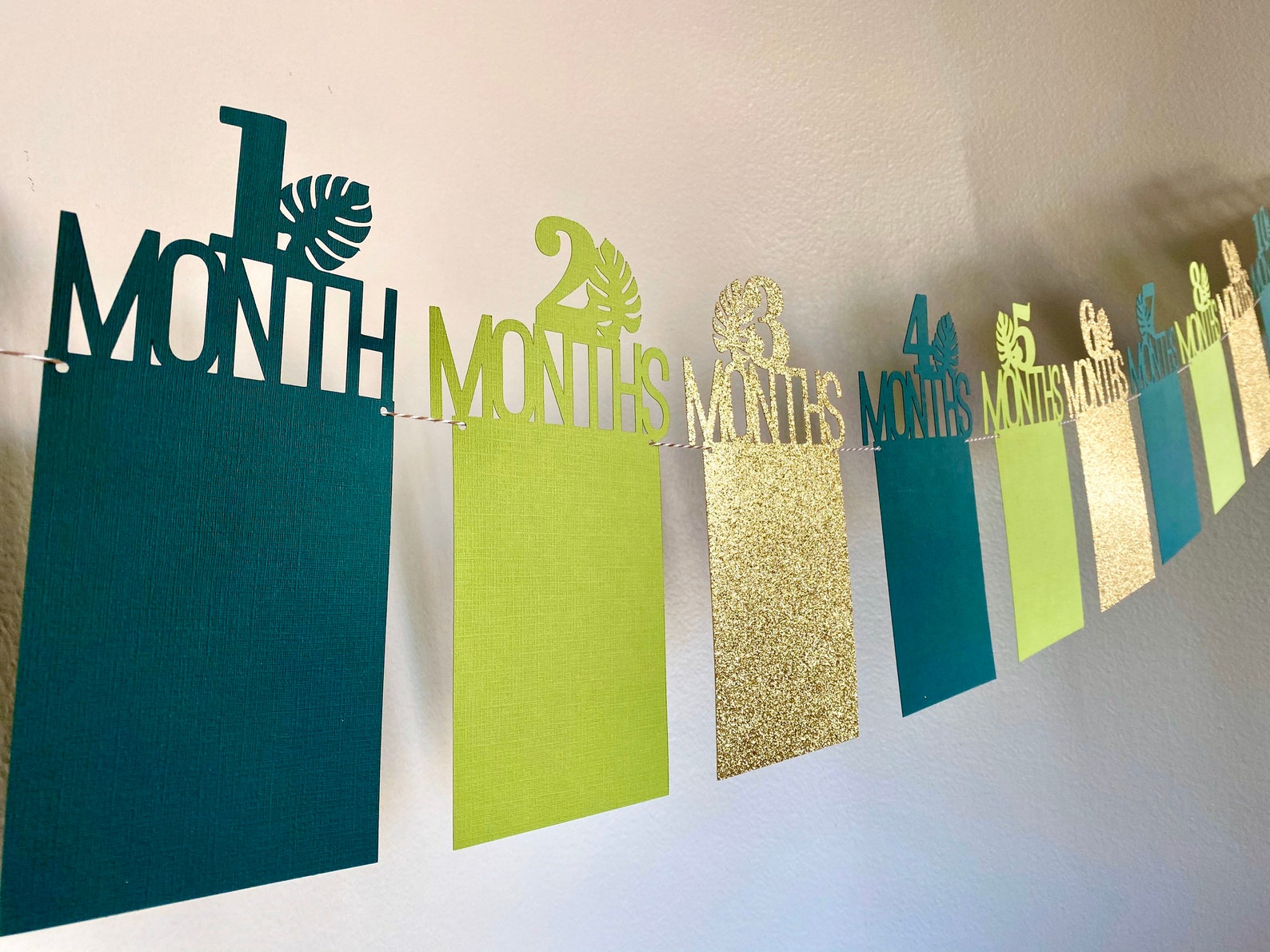 First Birthday Photo Banner First Birthday Banner 1st Year | Etsy