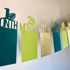 First Birthday Photo Banner, First Birthday Banner, 1st Year Photo ...