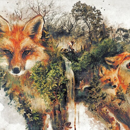 The Red Fox Natural Animal Surrealism Series Forest | Etsy