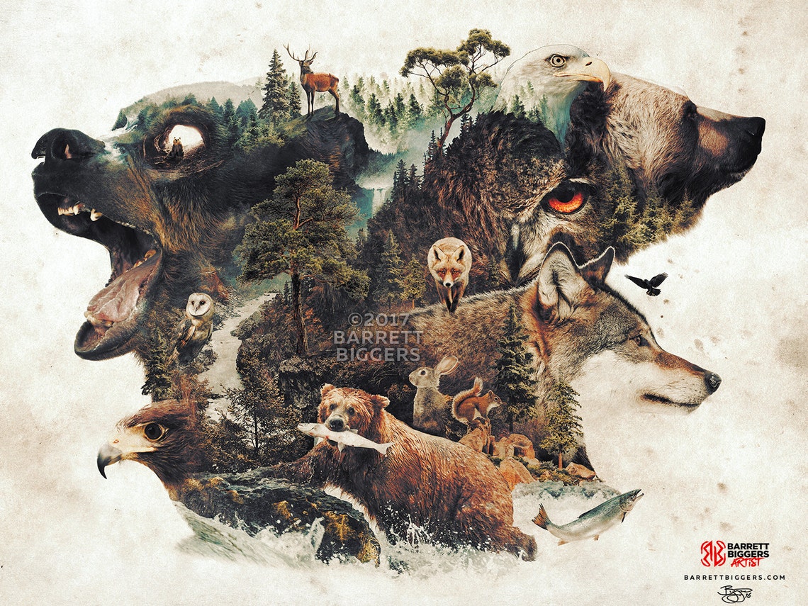 Predators and Prey the Northern US Forest Animals Nature | Etsy