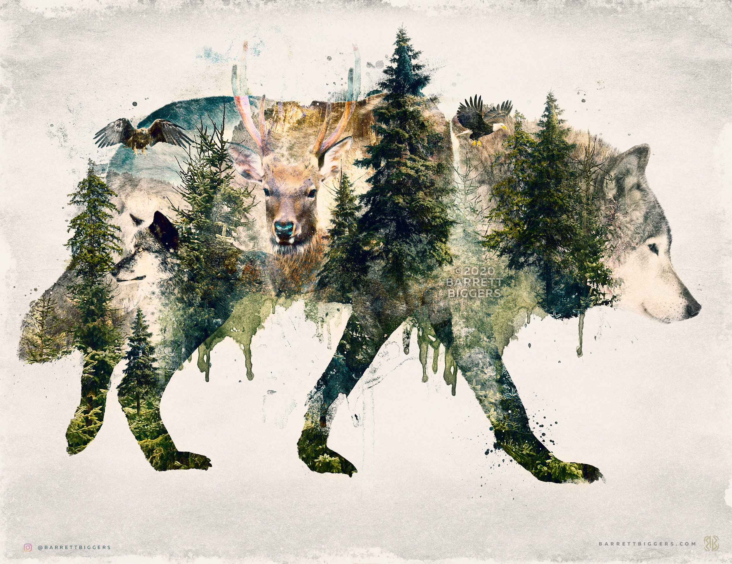 Wolf Artwork