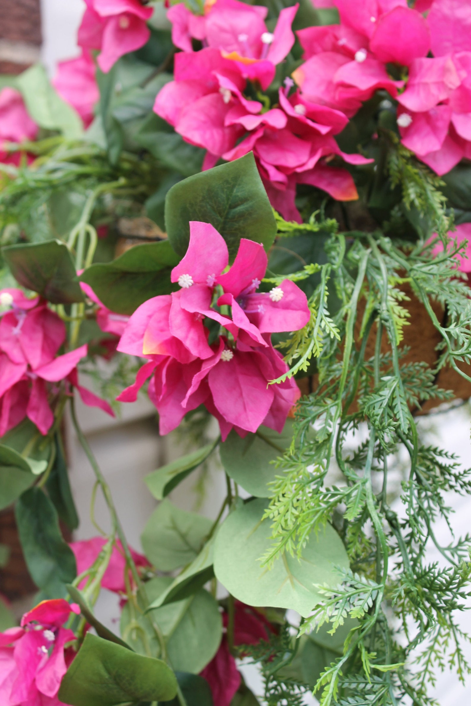 Silk Hanging Plant - Bougainvillea Pink Beauty With Long Greens - Etsy