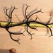 Branch Shaped Rack Ideal for Keys or Jewelry. Branch is Wall Mounted - Etsy