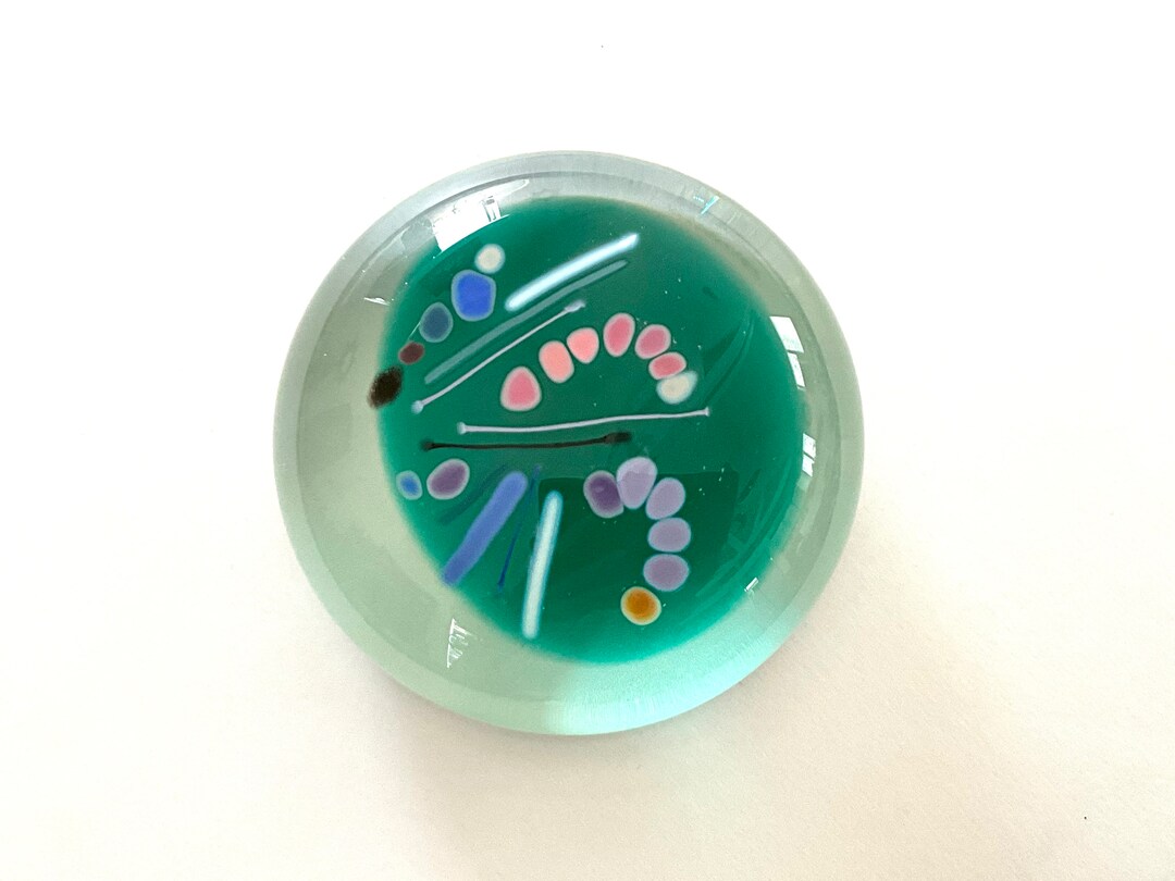 Vintage 90s Hand Blown Glass Paperweight Signed Nicholson - Etsy