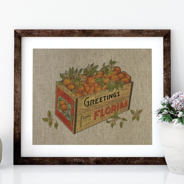 Florida Postcard - Etsy