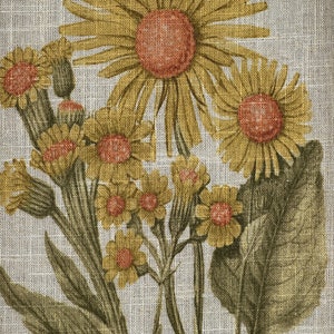 Yellow Daisy Wall Art | Farmhouse Decor | Floral Wall Art | Linen Wall ...