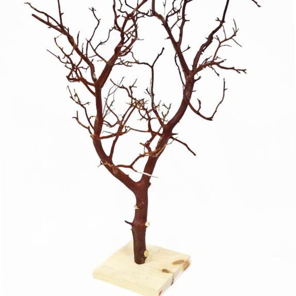 Manzanita Tree Tall - Etsy