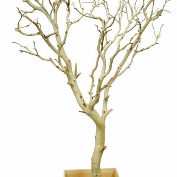 Manzanita Tree Tall - Etsy