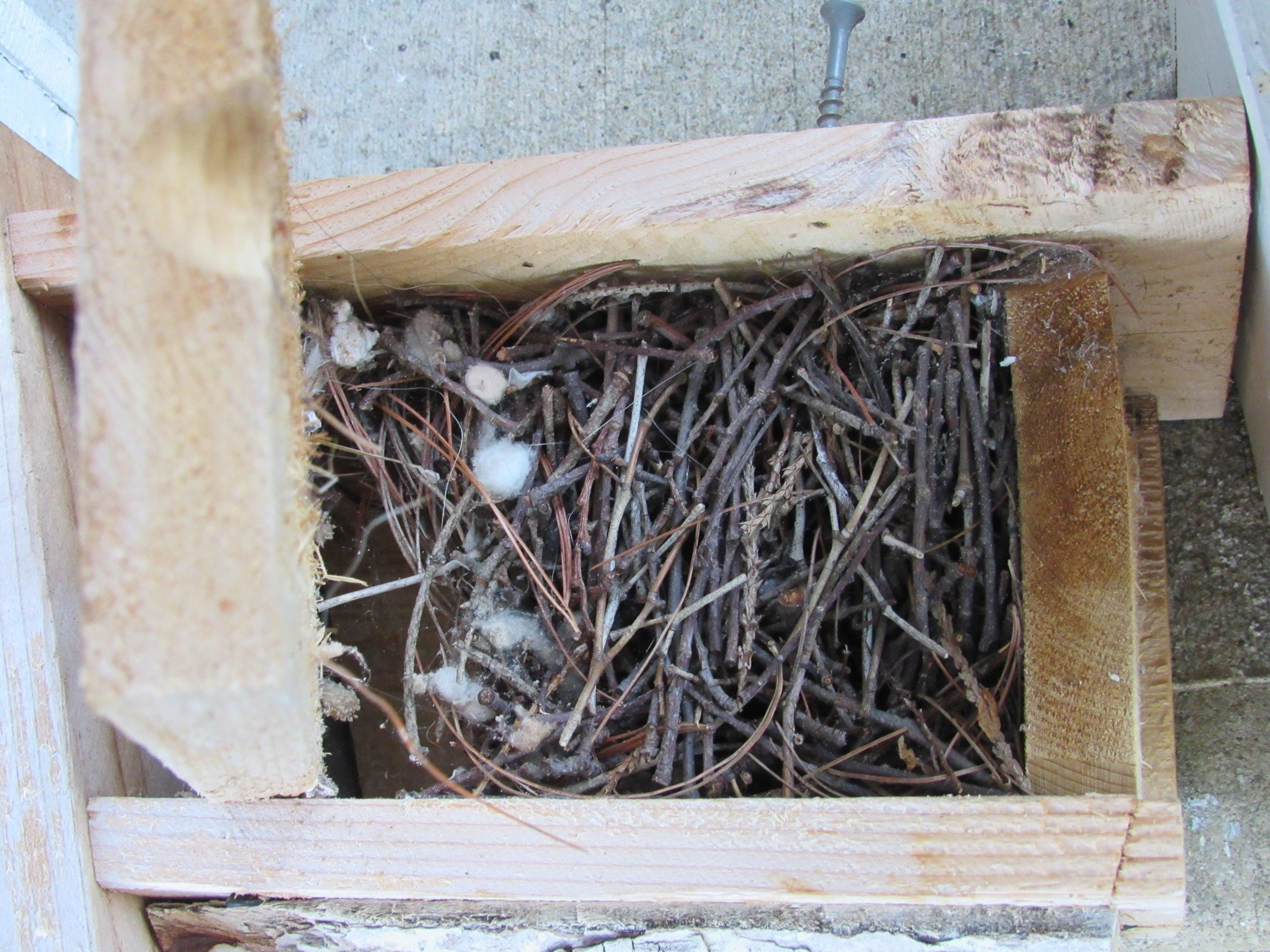 Natural Bark Front and Roof Wren Nesting Box. - Etsy