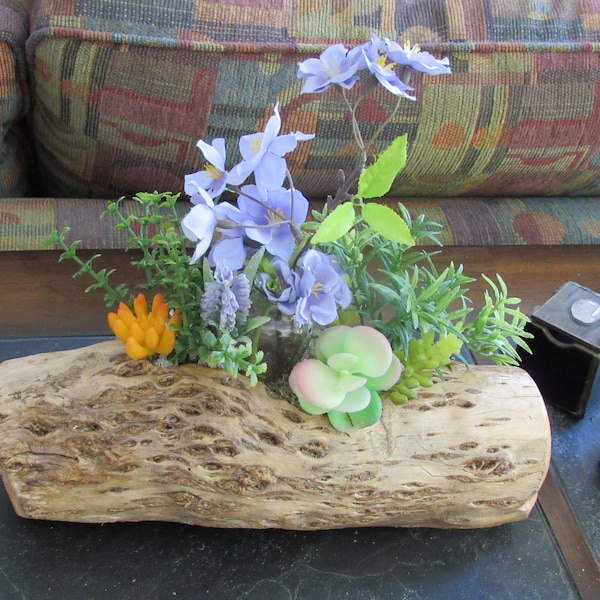 Succulent Log Planter - Etsy