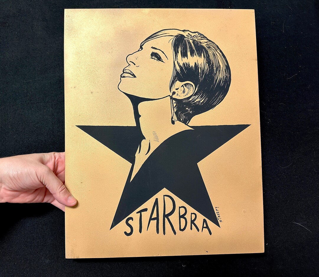 Starbra (barbra Streisand) Custom Screenprint on Wood Panel - Etsy