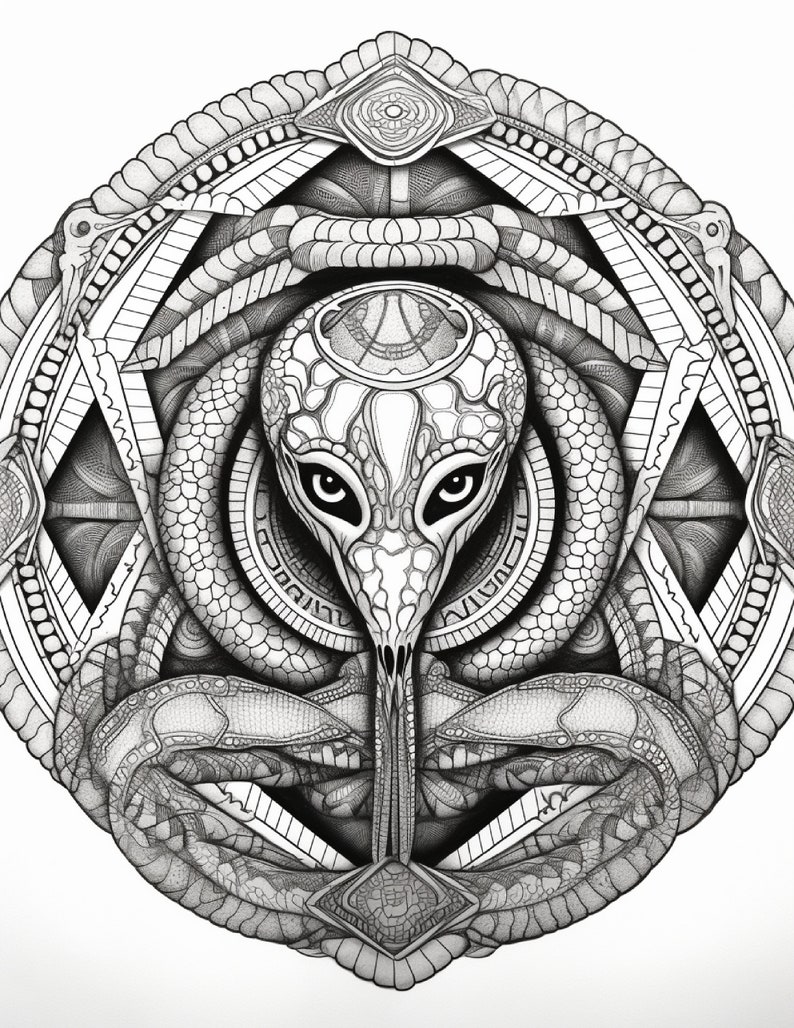 100 Animal Mandalas Coloring Pages - Etsy