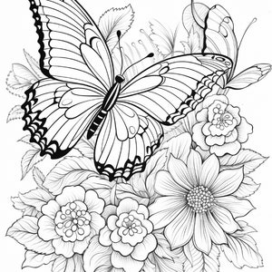 140 Butterflies Coloring Pages - Etsy