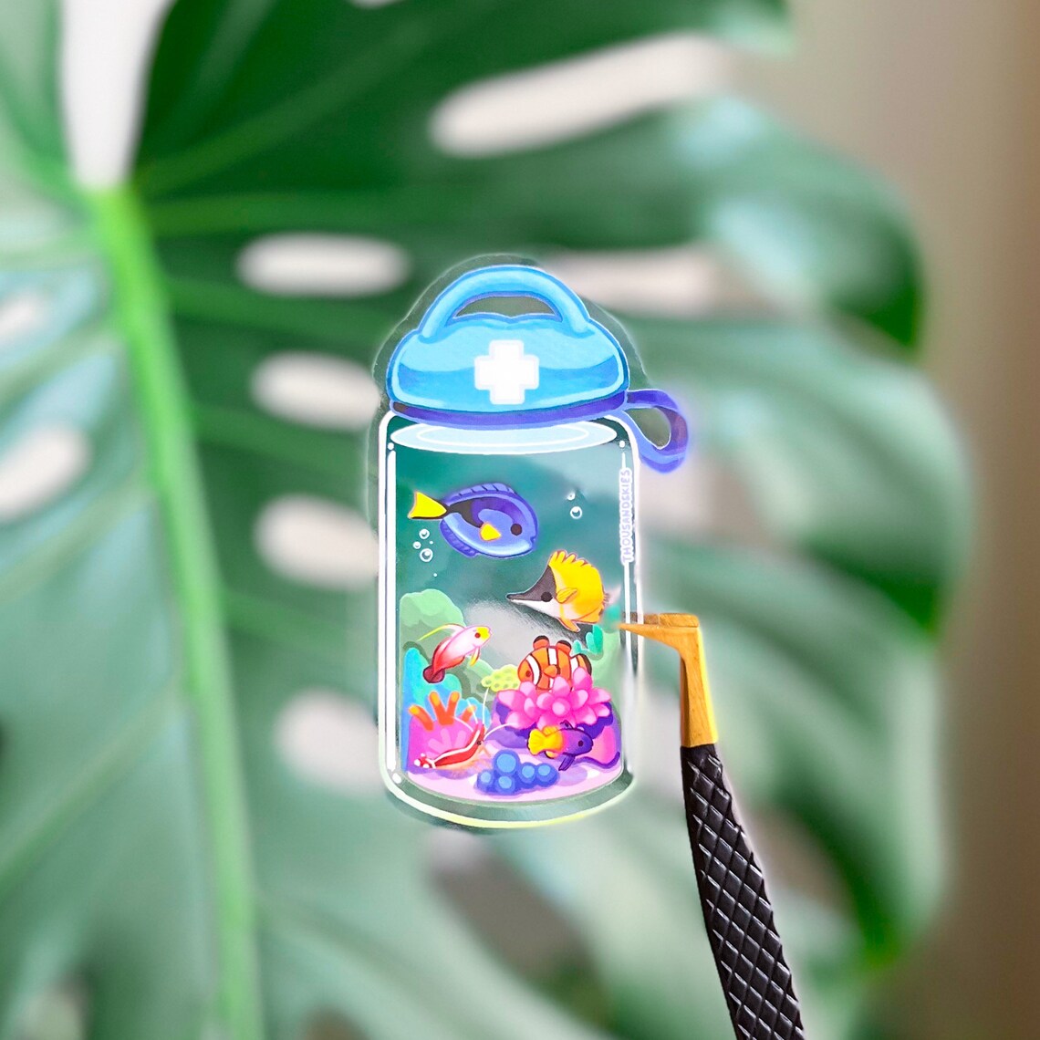 Vinyl Sticker transparent First Coral Reef Kit - Etsy