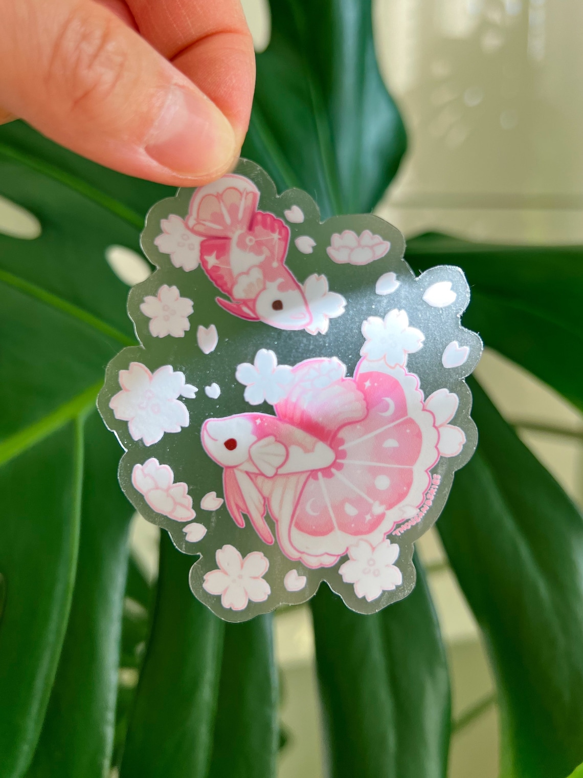 Vinyl Sticker transparent Sakura Half Moon Betta - Etsy