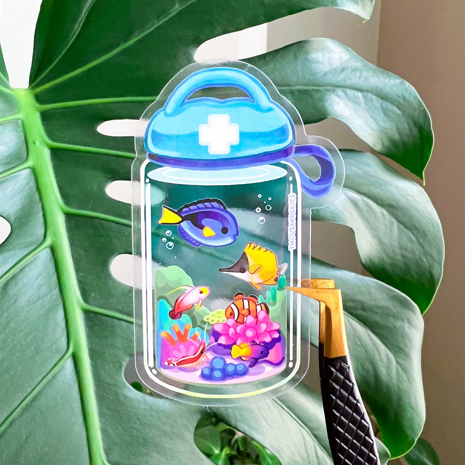 Vinyl Sticker transparent First Coral Reef Kit - Etsy