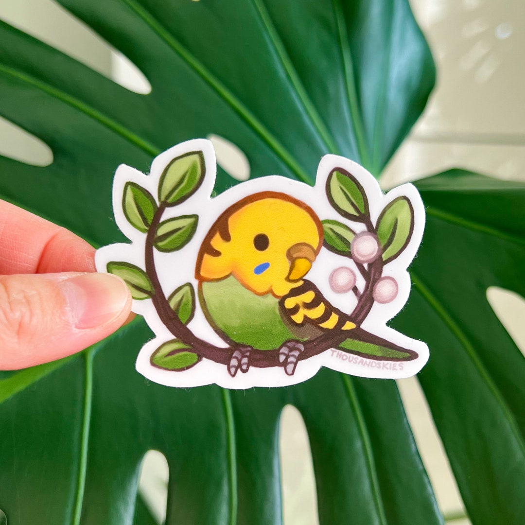 Vinyl Sticker Green Yellow Budgie Parakeet - Etsy