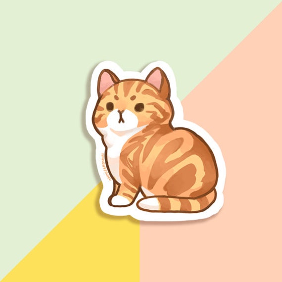 Orange Marbled Tabby Cat