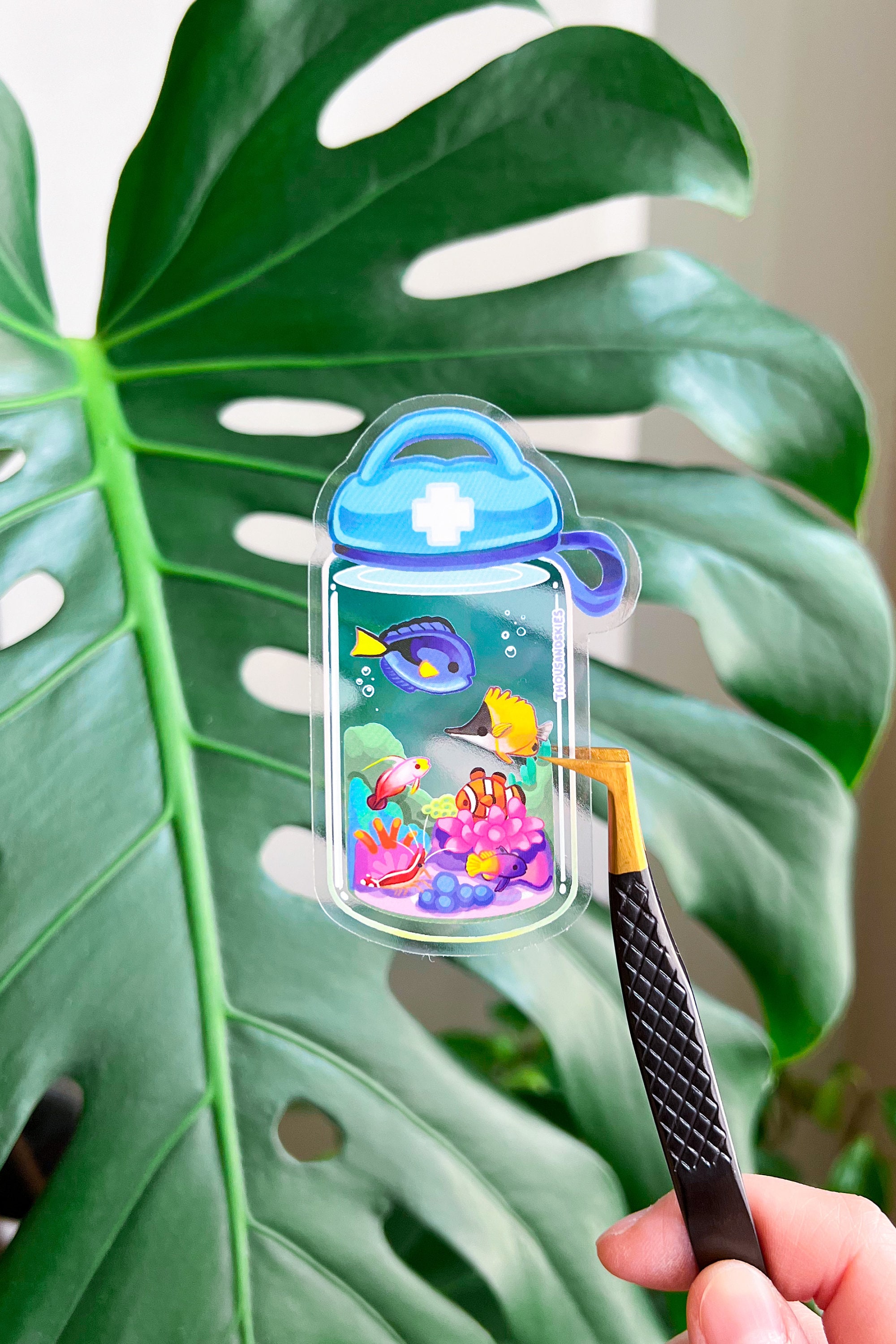 Vinyl Sticker transparent First Coral Reef Kit - Etsy