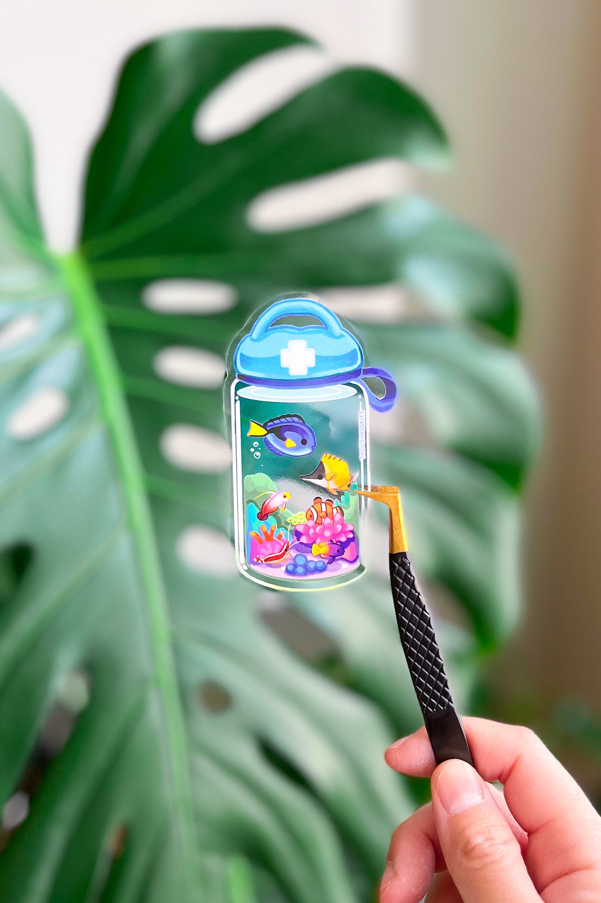 Vinyl Sticker transparent First Coral Reef Kit - Etsy