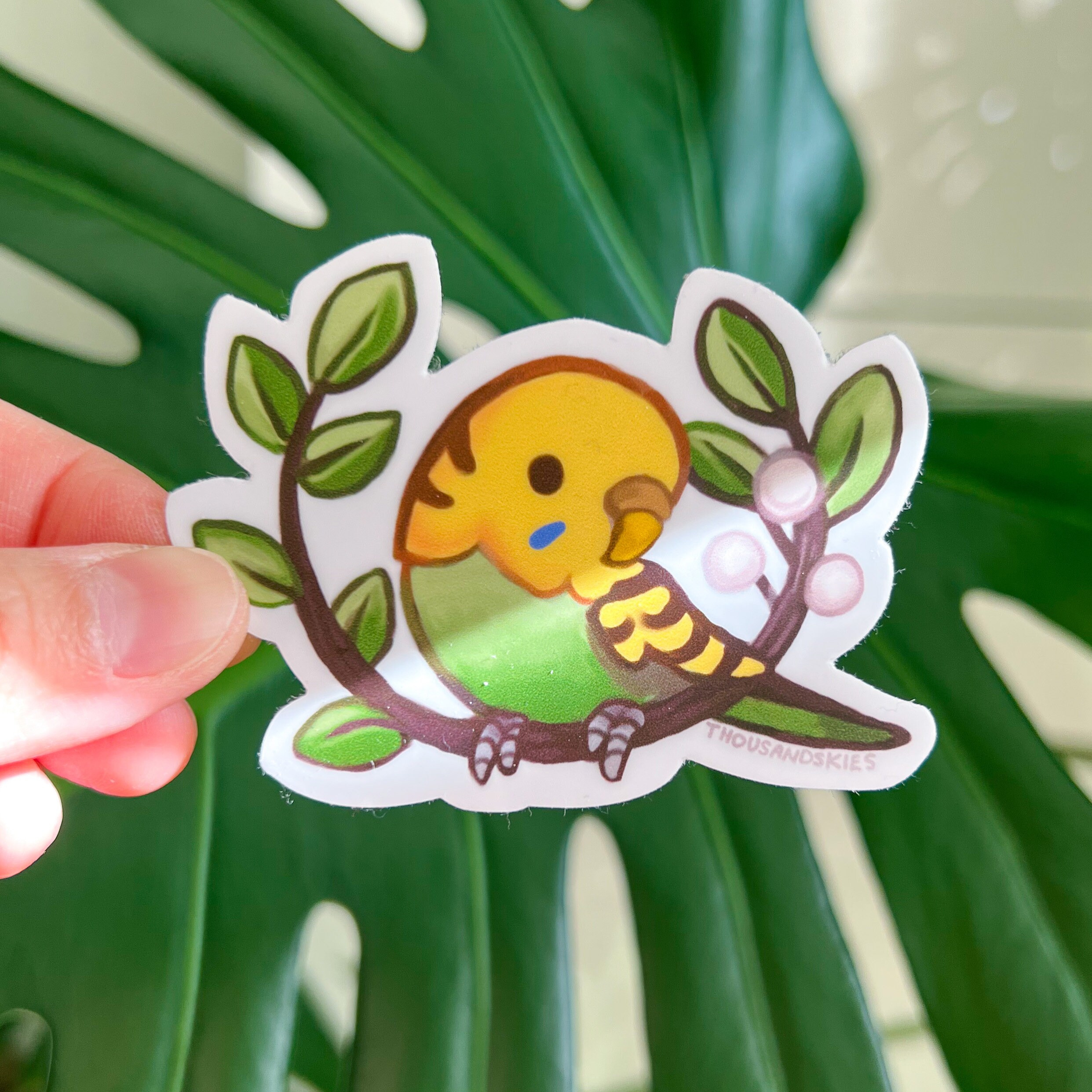 Vinyl Sticker Green Yellow Budgie Parakeet - Etsy