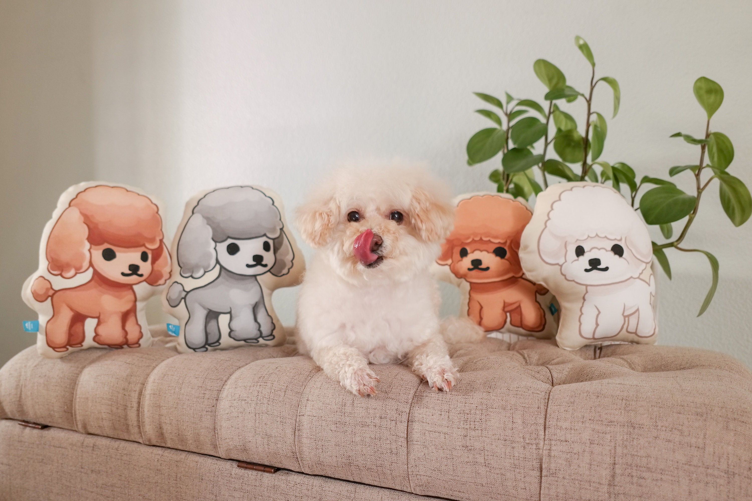 Handmade Toy Poodle (black) Pillow - Etsy