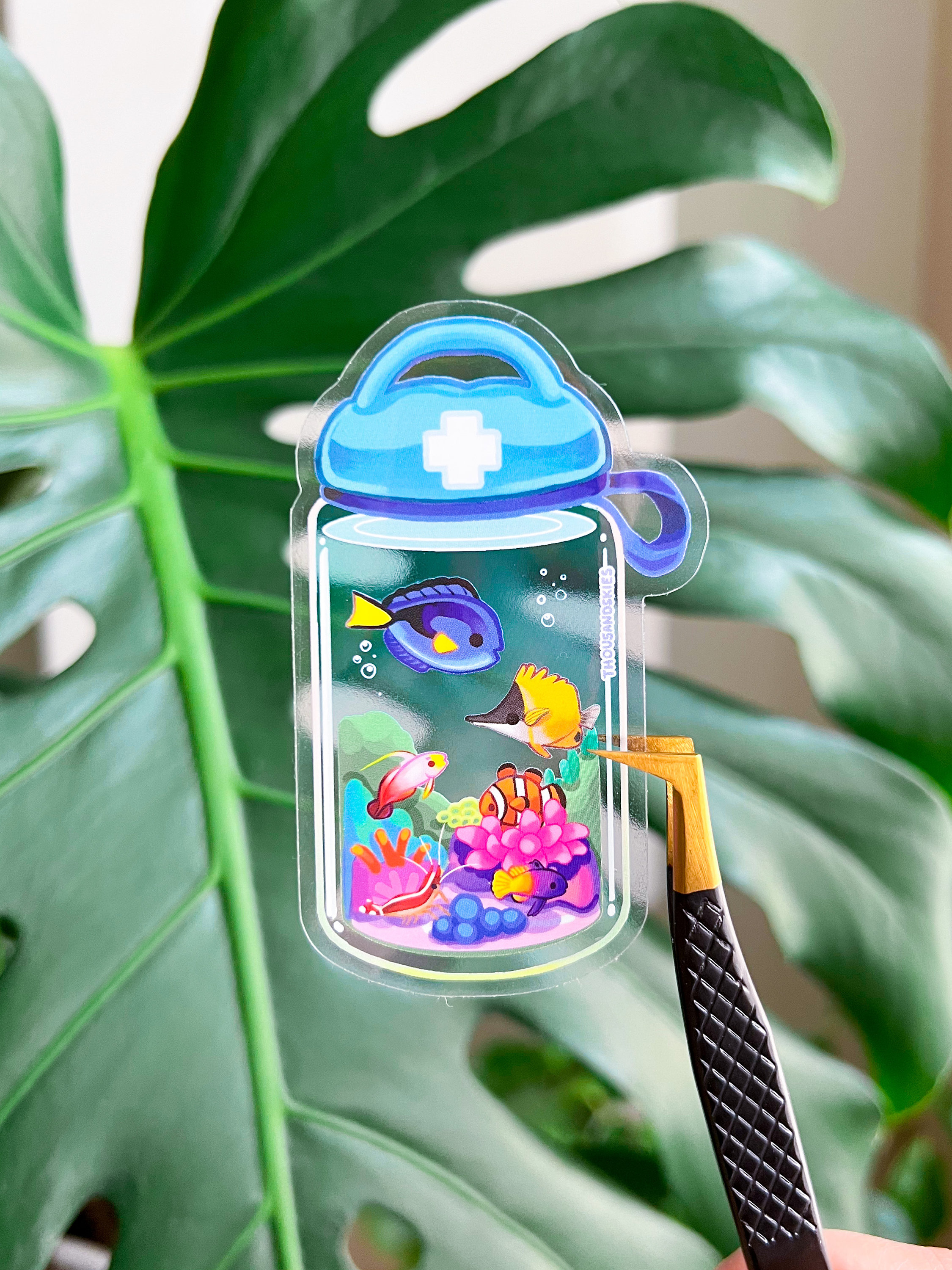 Vinyl Sticker transparent First Coral Reef Kit - Etsy